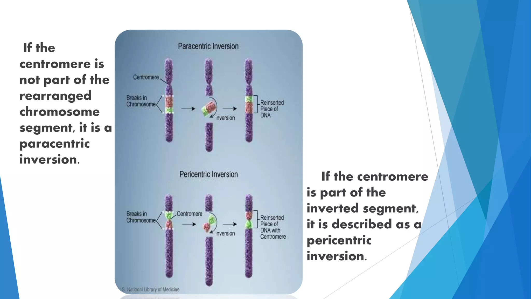 Variation of chromosomes | PPTX