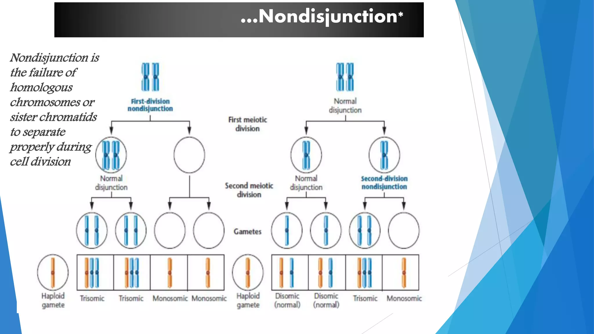 Variation of chromosomes | PPTX