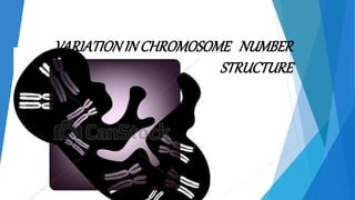 Variation of chromosomes | PPTX