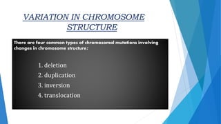 Variation of chromosomes | PPTX