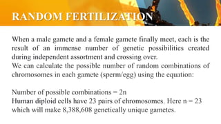 Chromosomal Variations, Continuous and Discontinuous Variations ...