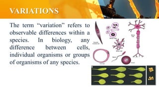 Chromosomal Variations, Continuous and Discontinuous Variations ...