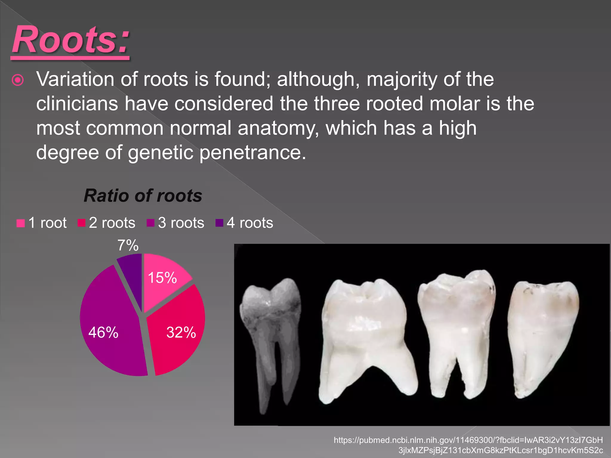 Variations in-maxillary-permanent-molars | PPTX