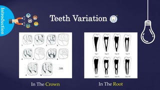 Variations in lower permanent molars | PPTX