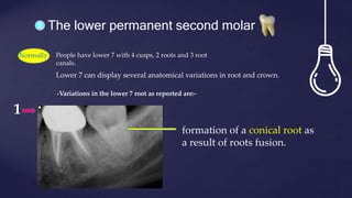 Variations in lower permanent molars | PPTX