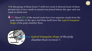 Variations in lower permanent molars | PPTX