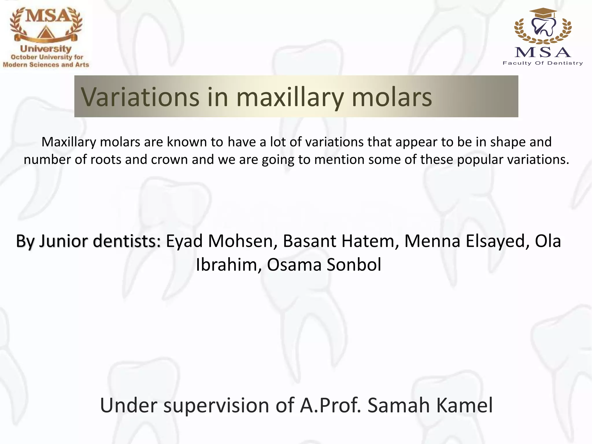 Variations in maxillary molars | PPTX | Dental Health | Diseases and ...