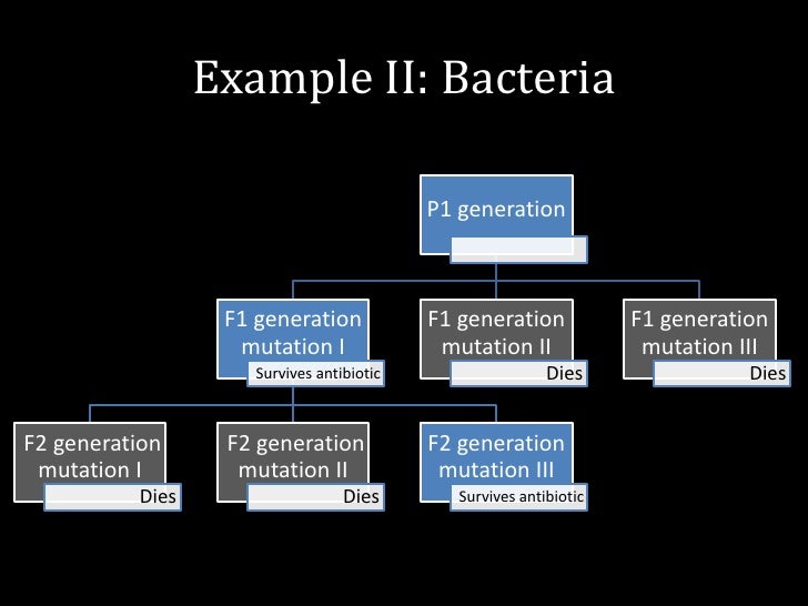 Variation within species & mutations and selective advantage
