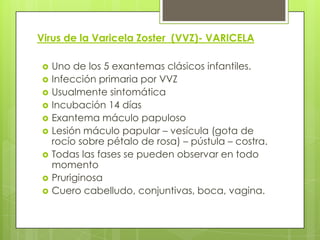 Varicela zoster | PPTX