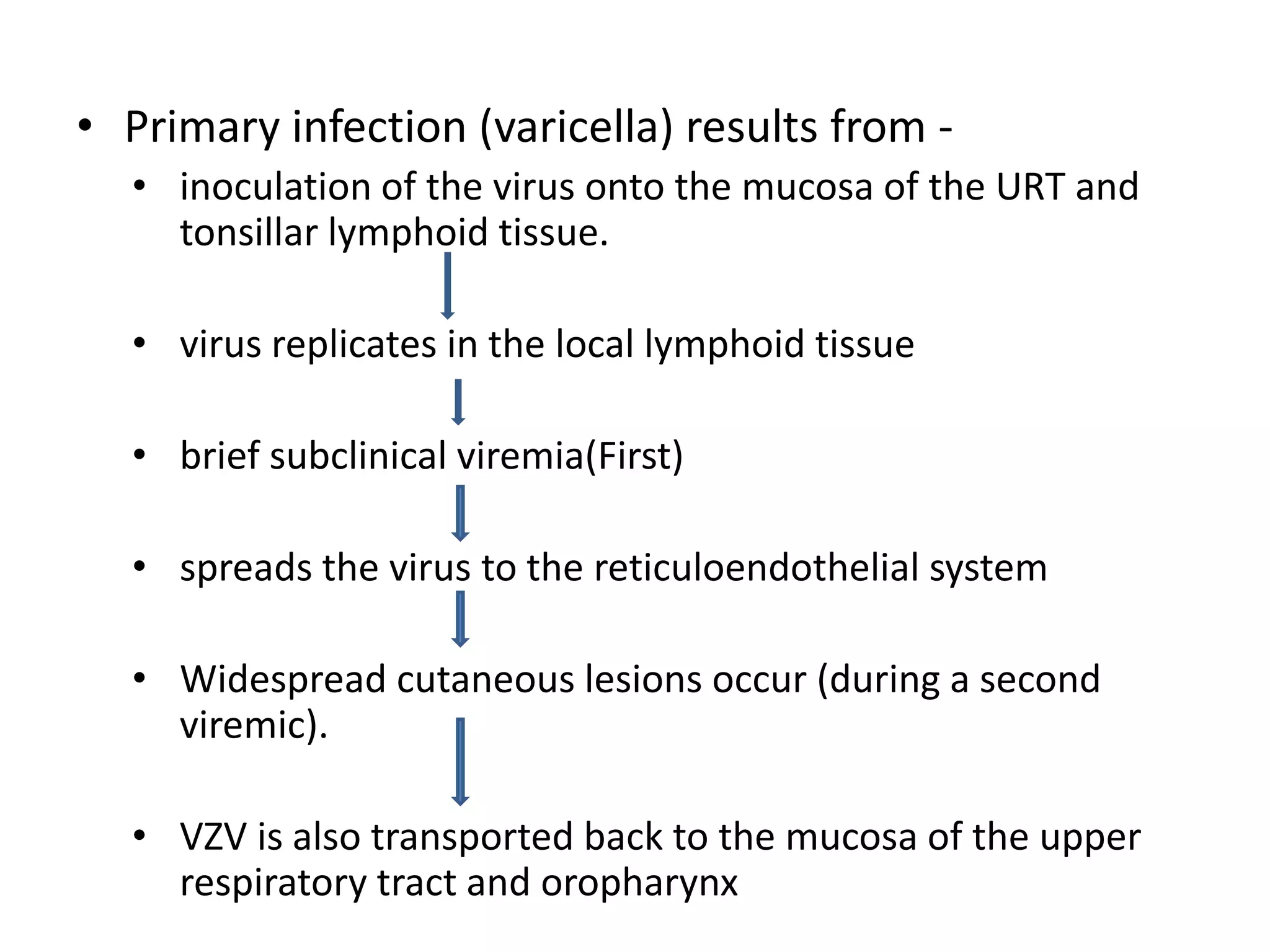 Varicella zoster virus infections | PPTX
