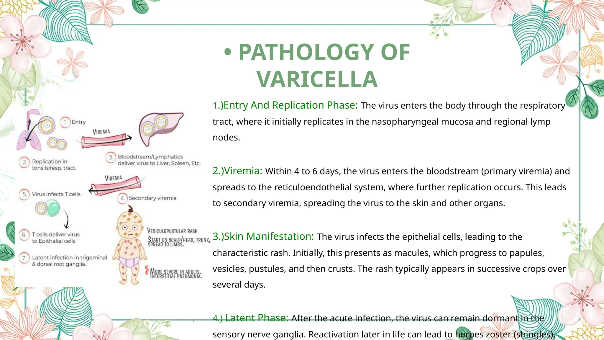VARICELLA2.pptx ayurveda herbal plant BAMS | PPTX