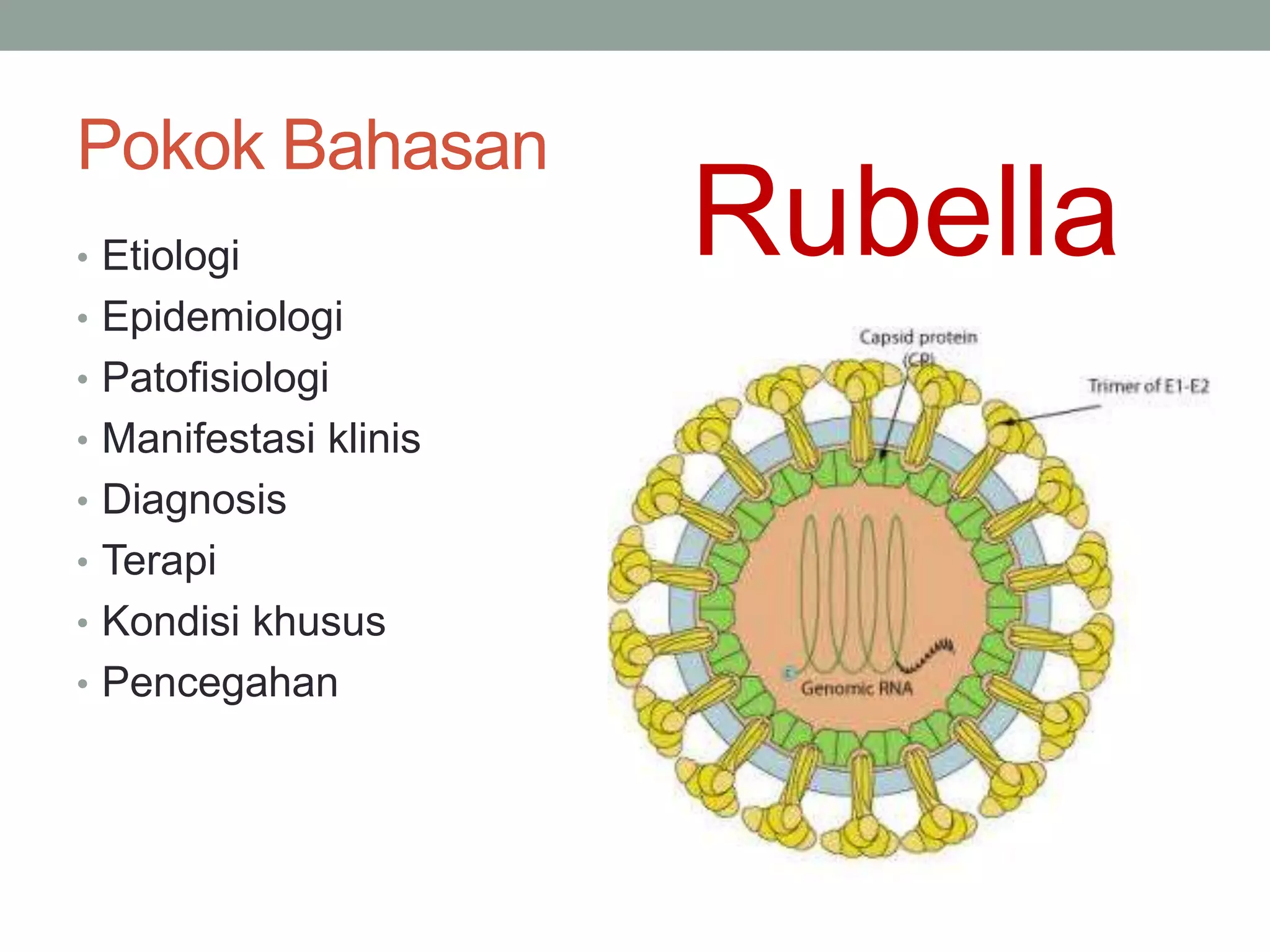 Infeksi Varicella Zoster dan Rubella | PPTX