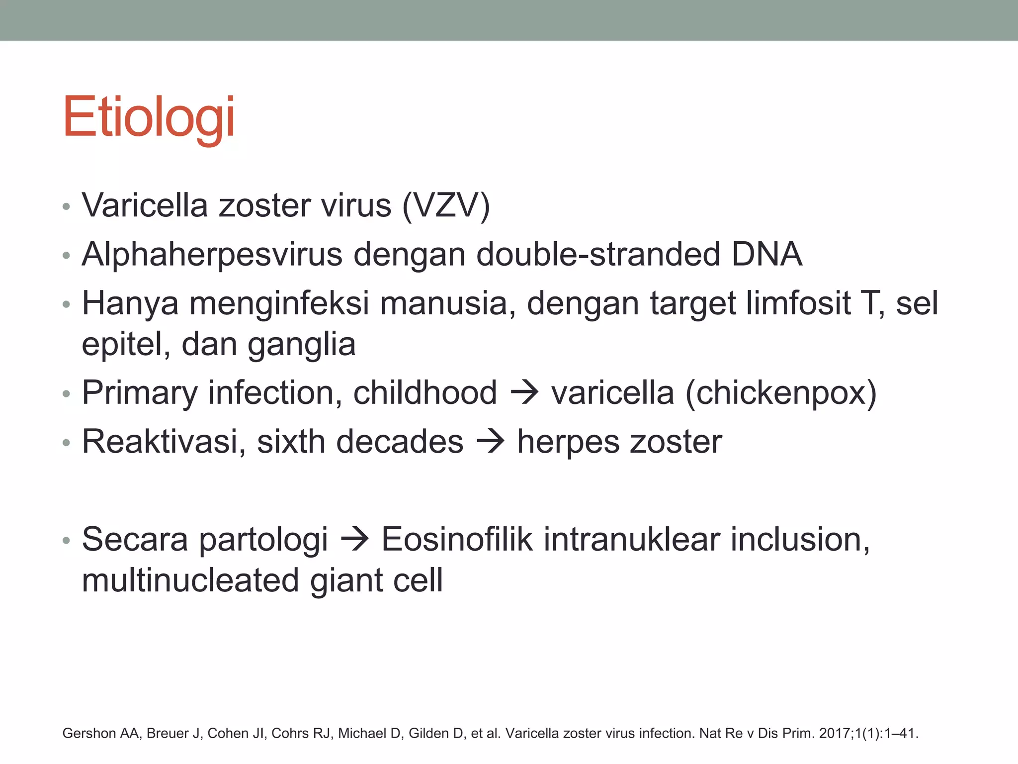 Infeksi Varicella Zoster dan Rubella | PPTX