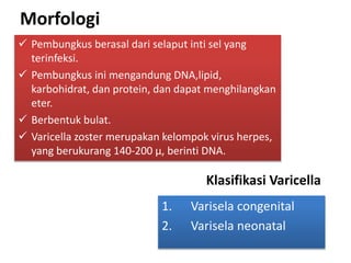 VARICELLA_ppt.pptxVARICELLA_ppt.pptxVARICELLA_ppt.pptx