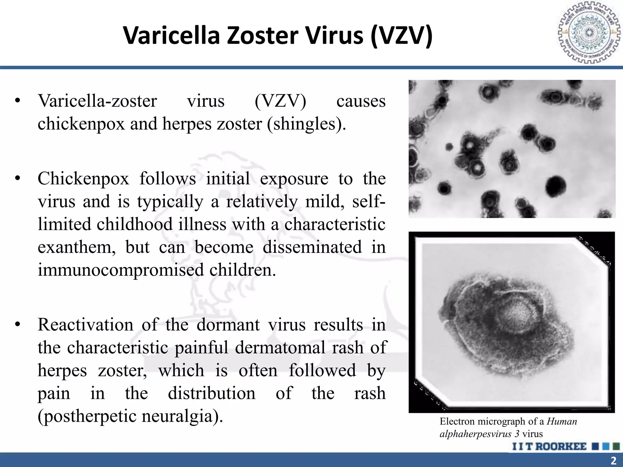 Varicella structure, genome and pathogenesis | PPTX