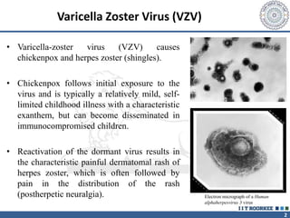 Varicella structure, genome and pathogenesis | PPTX