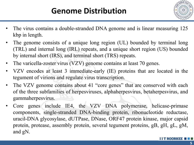 Varicella structure, genome and pathogenesis | PPTX | Infectious ...