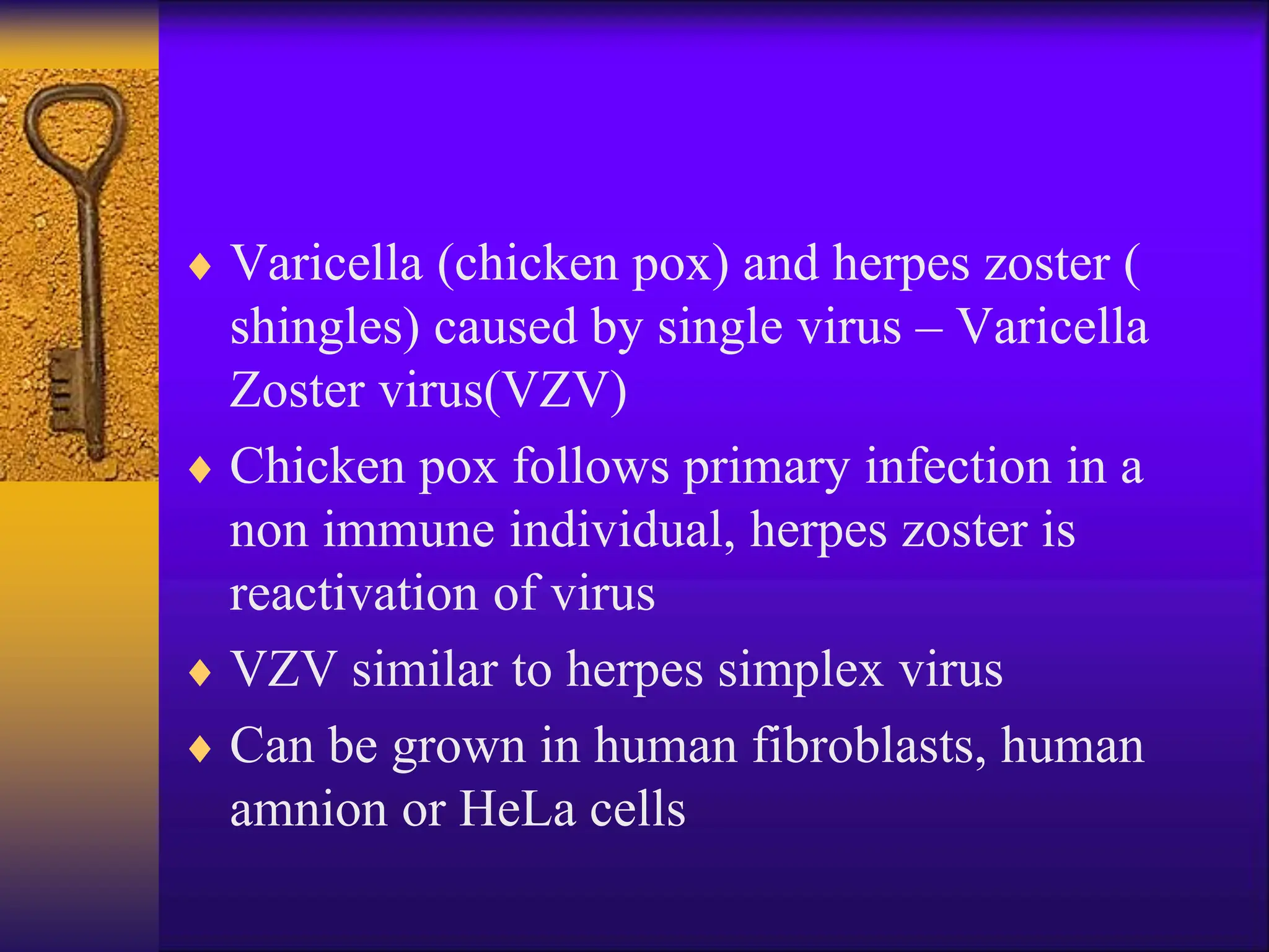 VARICELLA ZOSTER.ppt/ vzv/ chicken pox/ shingles | PPT