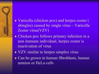 VARICELLA ZOSTER.ppt/ vzv/ chicken pox/ shingles | PPT