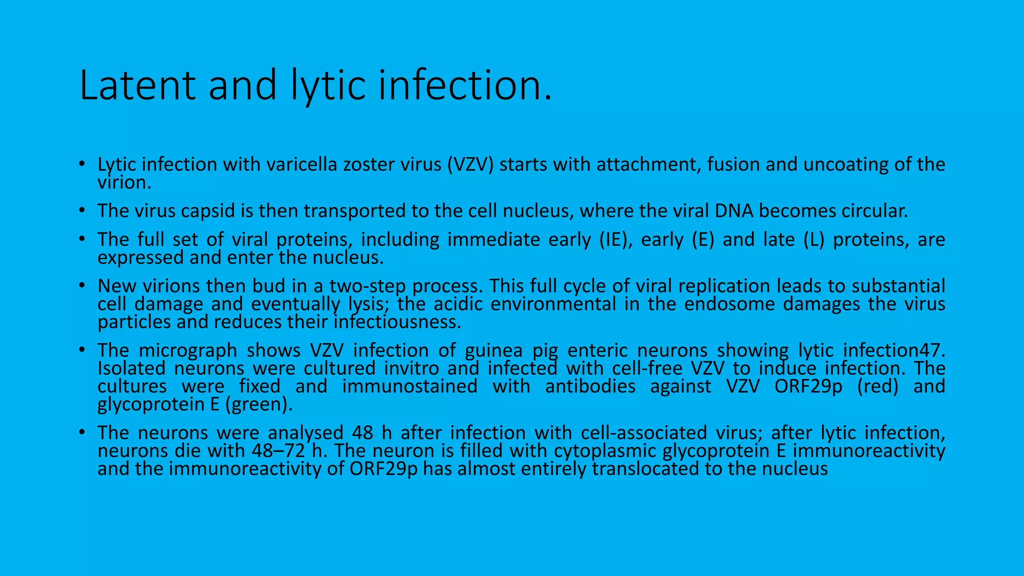 Varicella zoster virus | PPTX