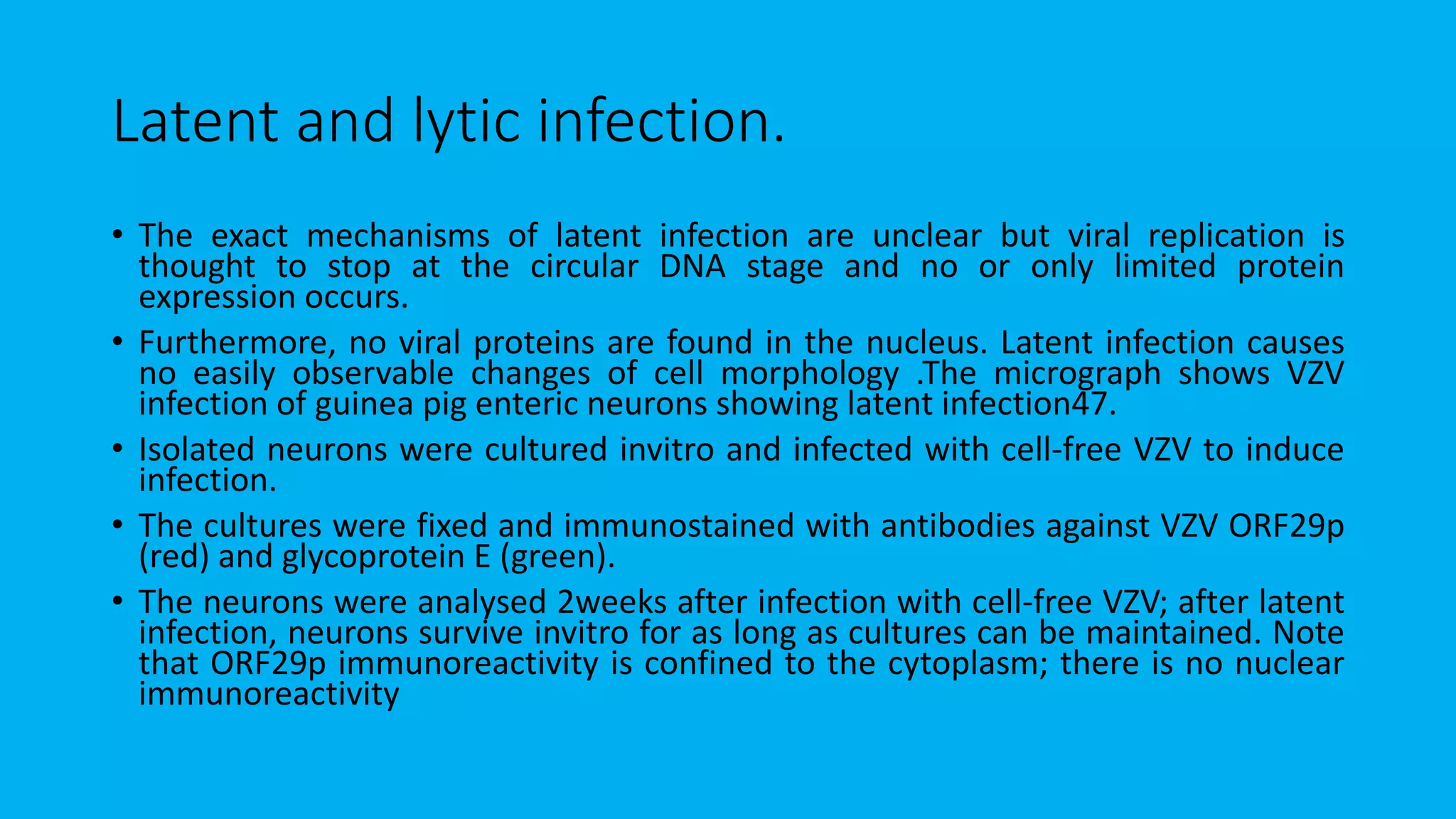 Varicella zoster virus | PPTX