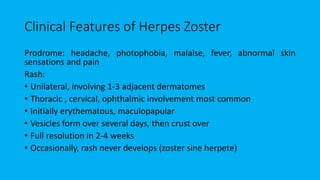 Varicella zoster virus | PPTX