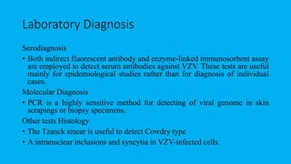 Varicella zoster virus | PPTX