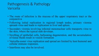 Varicella zoster virus | PPTX | Infectious Diseases | Diseases and ...
