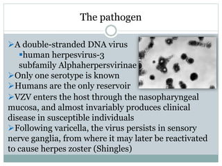 Varicella Zoster Virus Infections | PPTX