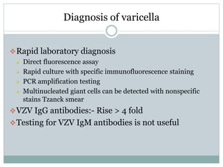Varicella Zoster Virus Infections | PPTX