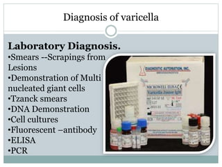 Varicella Zoster Virus Infections | PPTX