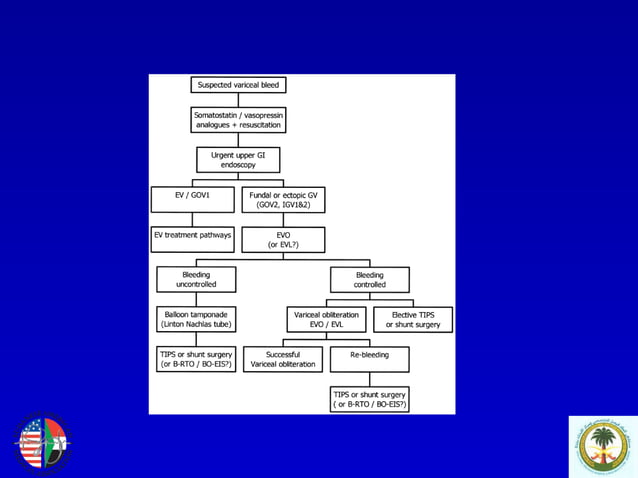 Variceal Bleeding | PPT