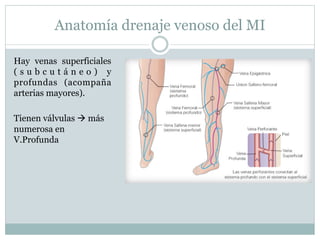 Varices varicosas | PDF