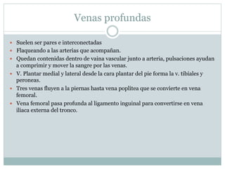 Varices varicosas | PDF