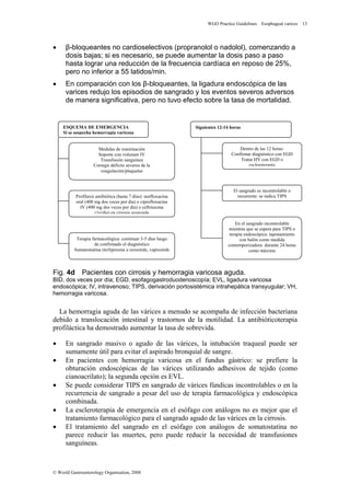 Varices esofagicas guia WGO - Medicina Interna II Uai | PDF