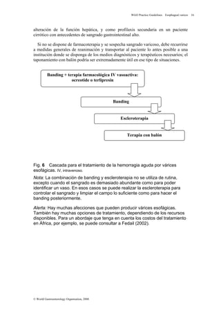 Varices esofagicas guia WGO - Medicina Interna II Uai | PDF