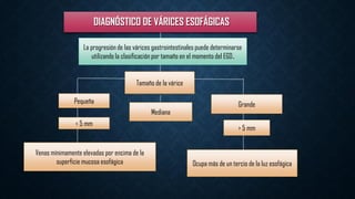 Varices esofágicas | PDF