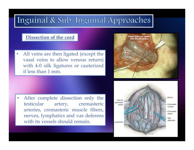 Varicocele | PDF | Infertility | Reproductive Health