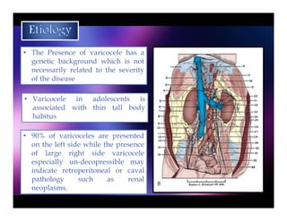 Varicocele | PDF