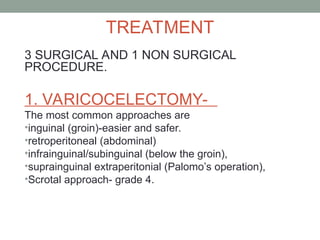 Comprehensive Overview of Varicocele: Anatomy, Diagnosis, and Treatment ...