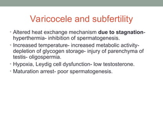 Comprehensive Overview of Varicocele: Anatomy, Diagnosis, and Treatment ...