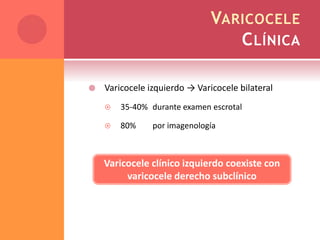 Varicocele | PPTX