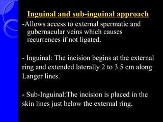 Varicocele MARK ROSEMARY | PPT