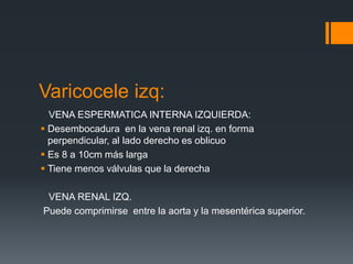 Varicocele | PPTX