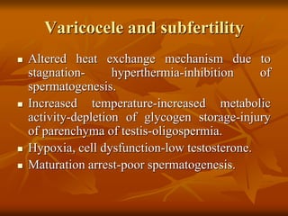 Varicocele | PPT