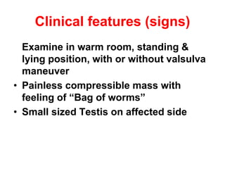 Varicocele.ppt