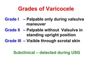 Varicocele.ppt