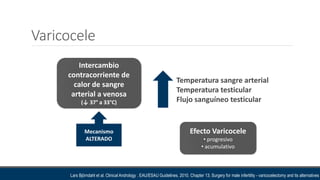 Varicocele y varicocelectomía tratamiento quirúrgico | PPTX