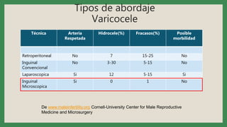Varicocelectomia subinguinal microquirurgica | PPTX