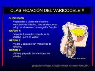 Ultrassonografia De Varicocele